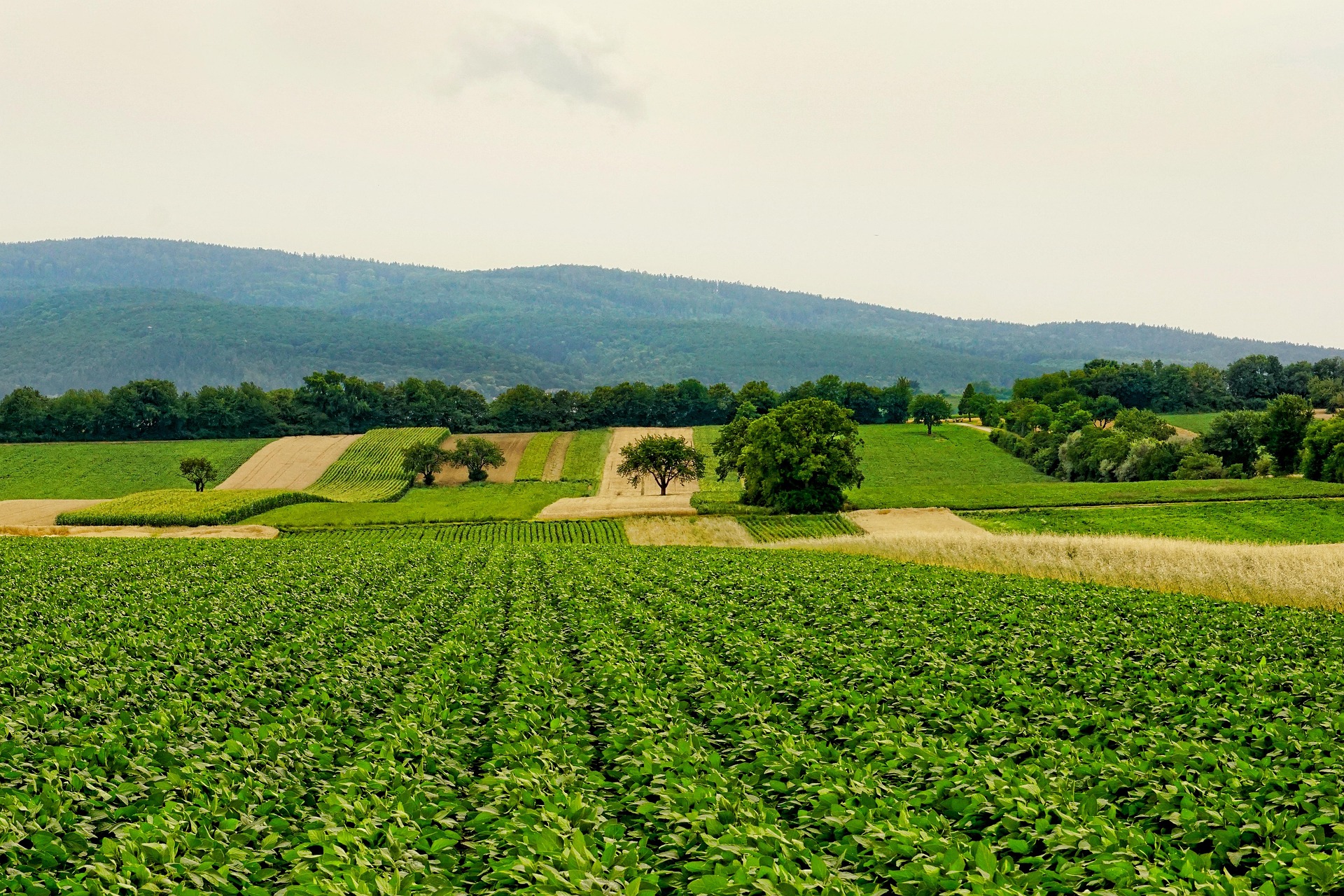 Resources | BNP Paribas Leasing Solutions - Global